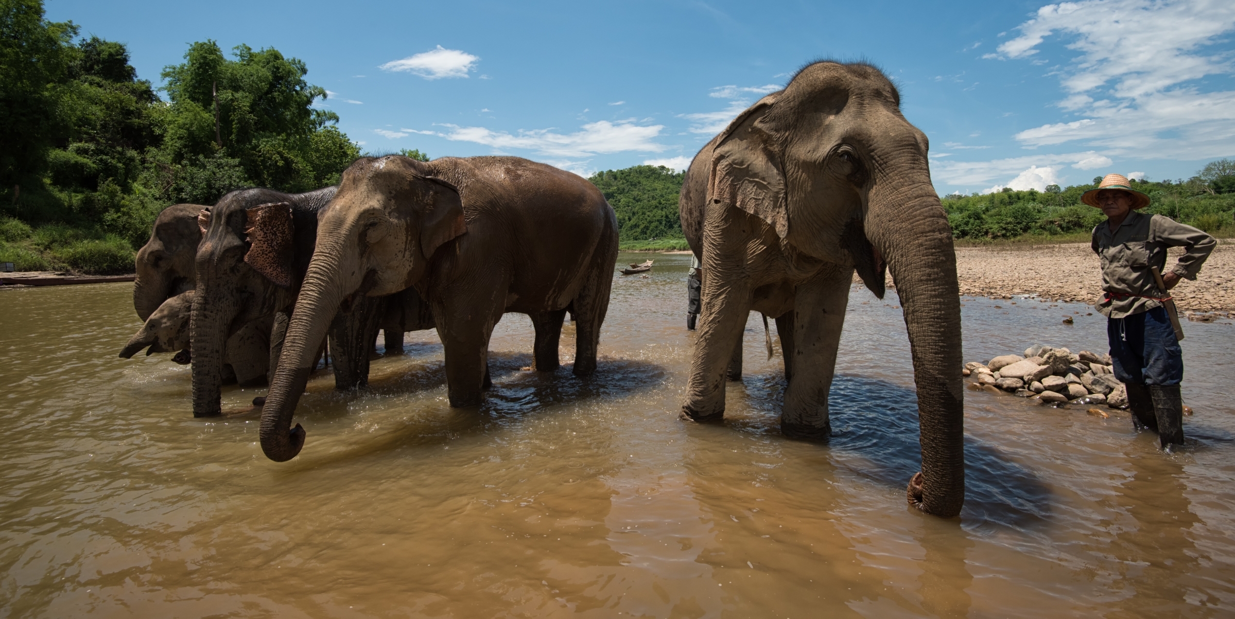 MandaLao Elephant Sanctuary Magical, Intimate Encounters ...